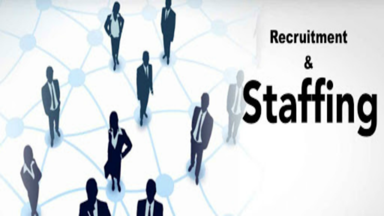What Is Staffing And What Are The Importance Of Staffing | Vingsfire